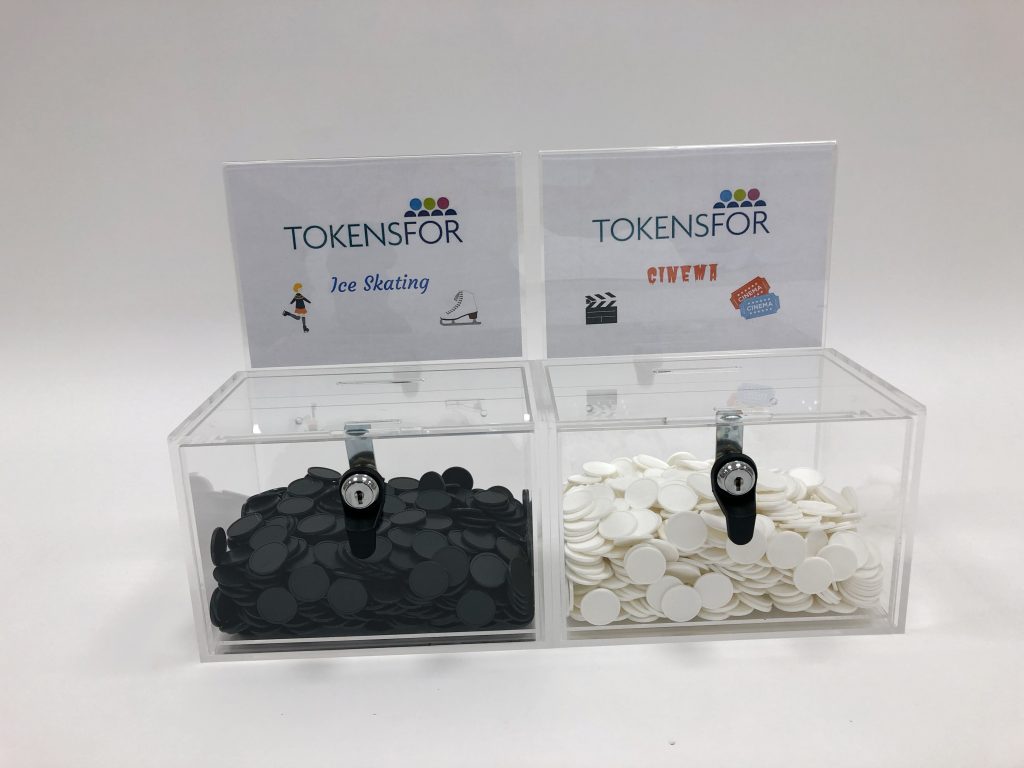 Medium-Size School Voting Set | 1,000 25mm Tokens | TokensFor