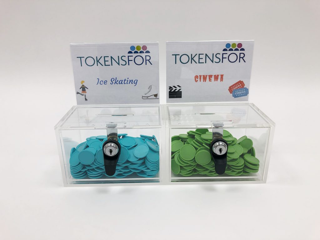 Small-Size School Voting Set | 1,000 25mm Tokens | TokensFor