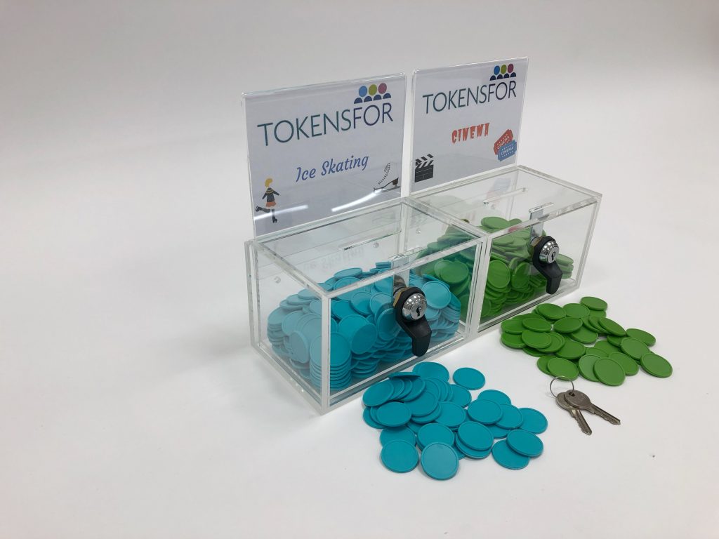 Small-Size School Voting Set | 1,000 25mm Tokens | TokensFor